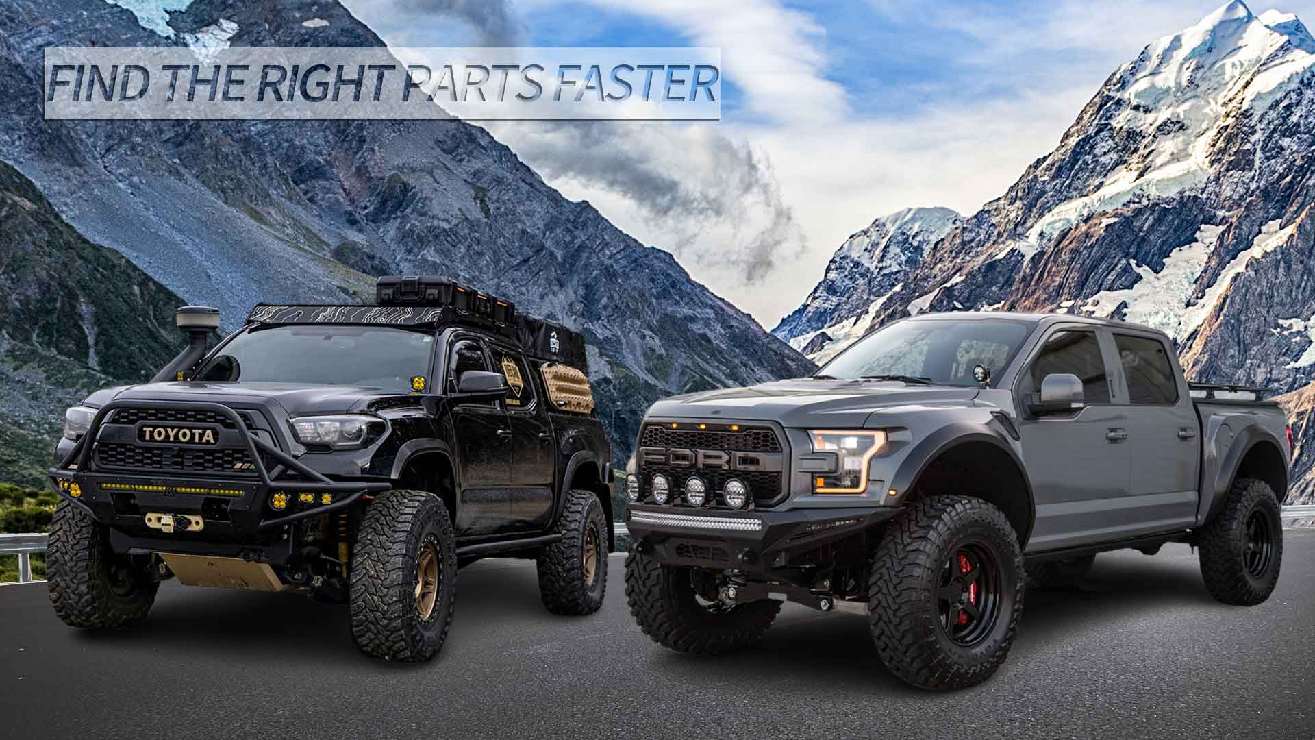 Car Grill - WildWell Motor Sports